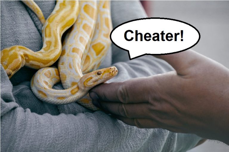 Python Finxter