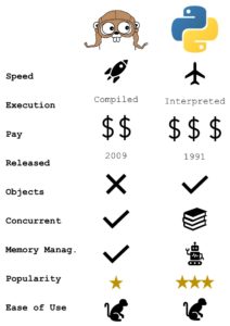 Python vs Go – Which Language Should You Choose in 2024 – Be on the ...