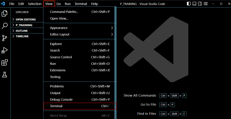 How to Execute Python Shell Commands – Be on the Right Side of Change