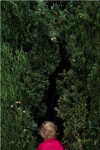 Python - How to Import Modules From Another Folder? - Be on the Right ...