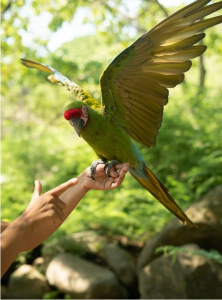 How I Created a Forecasting App Using Streamlit - Be on the Right Side of Change