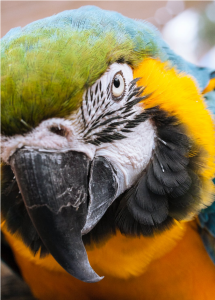 Langchain Python Tutorial: Quick and Easy Guide for Beginners - Be on ...