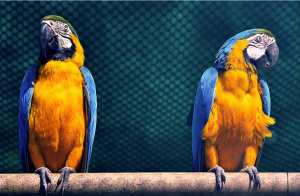 Langchain Python Tutorial: Quick and Easy Guide for Beginners - Be on ...